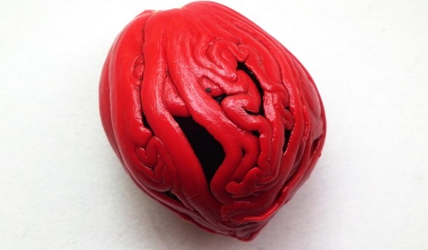 Mace Nutrition Facts - Health Benefits, Nutritional Value & Calories